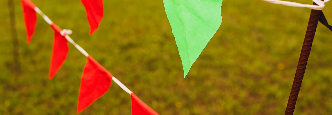 Red Flags vs. Green Flags: Evaluating SEO Projects for Optimal Results